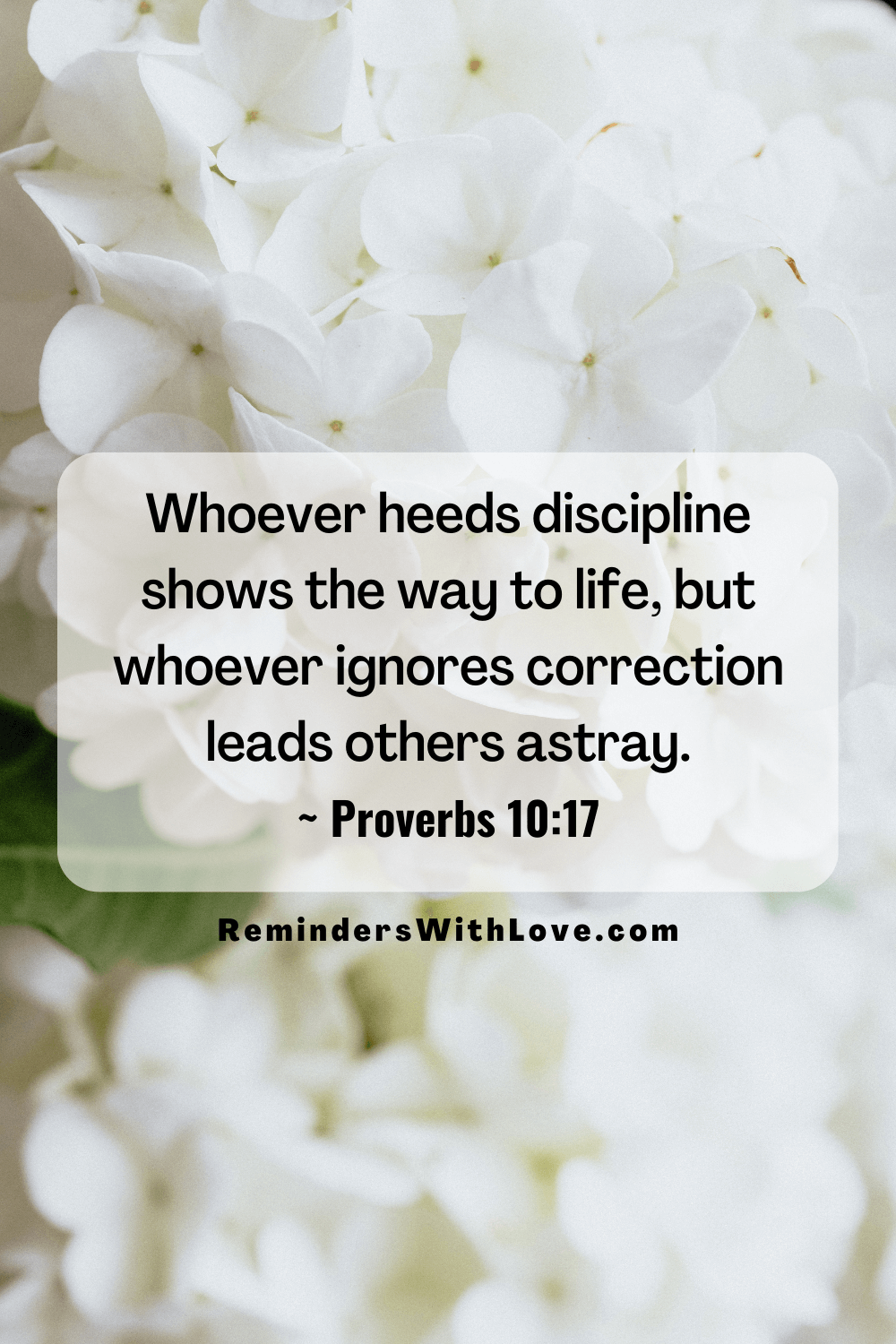 10 Bible Quotes About Life | Reminders With Love