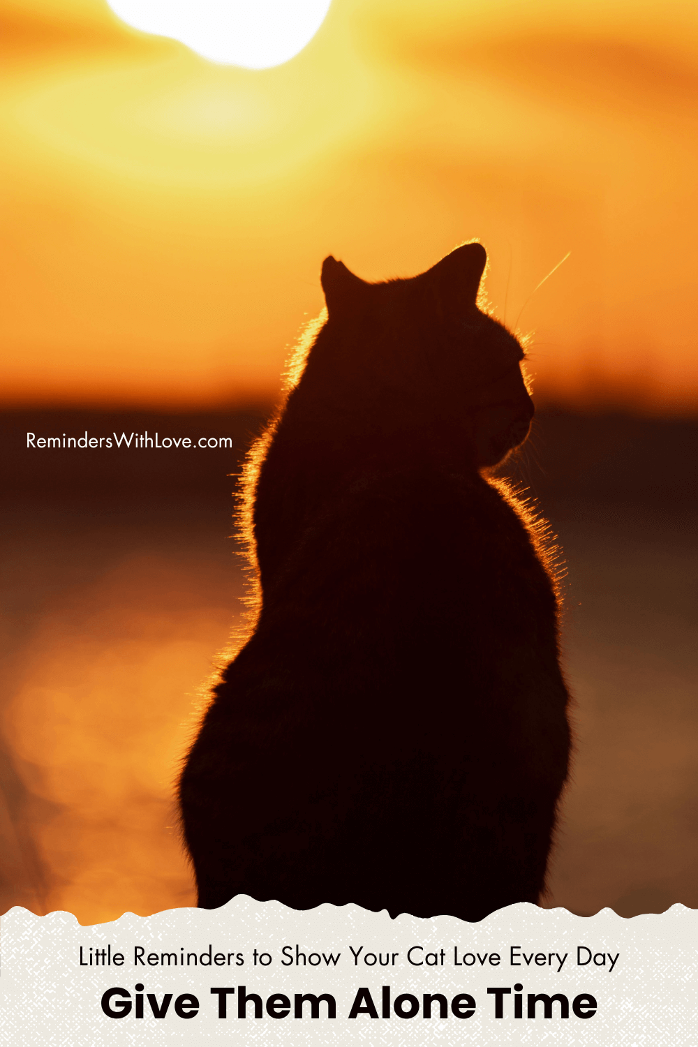 15 Little Reminders to Show Your Cat Love Every Day - Reminders With Love