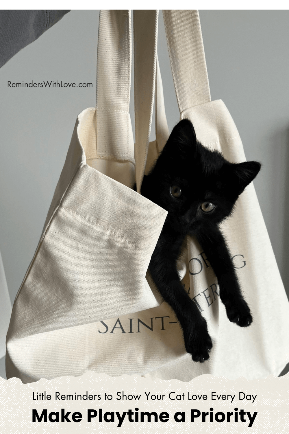 15 Little Reminders to Show Your Cat Love Every Day - Reminders With Love