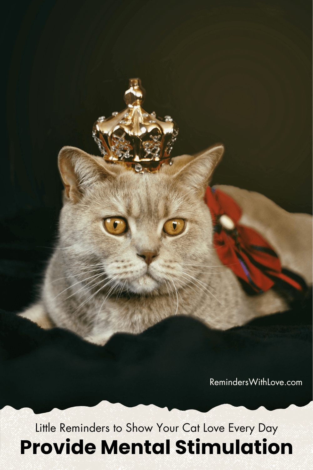 15 Little Reminders to Show Your Cat Love Every Day - Reminders With Love