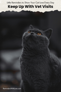 15 Little Reminders to Show Your Cat Love Every Day - Reminders With Love
