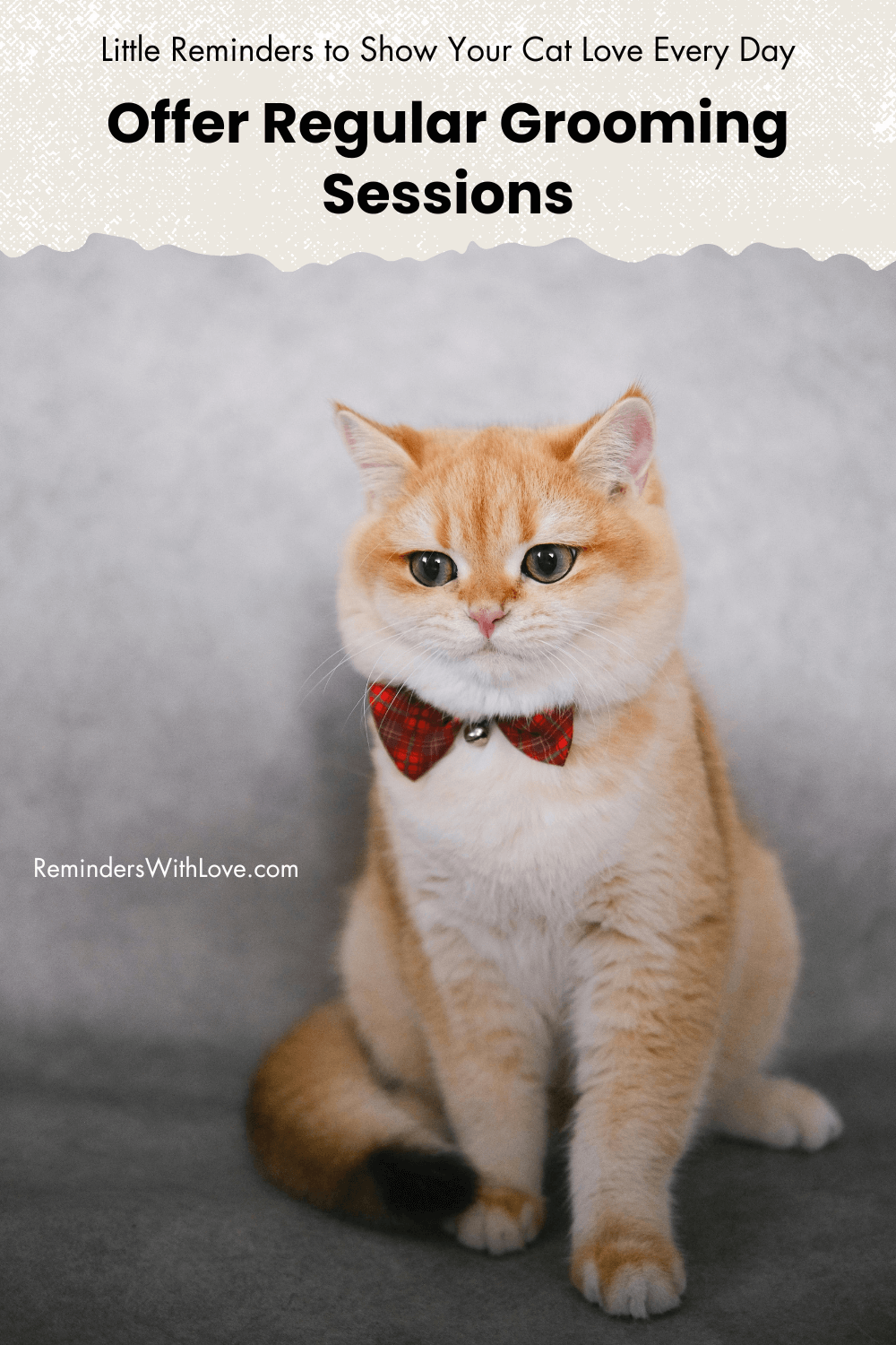 15 Little Reminders to Show Your Cat Love Every Day - Reminders With Love