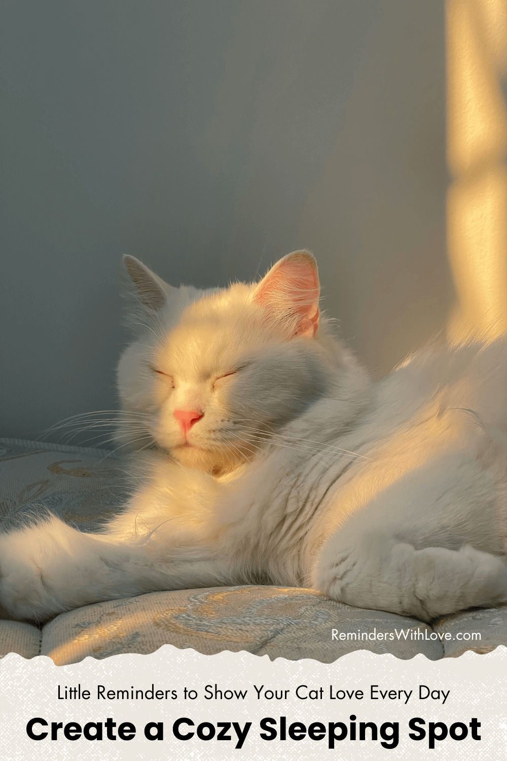 15 Little Reminders to Show Your Cat Love Every Day - Reminders With Love